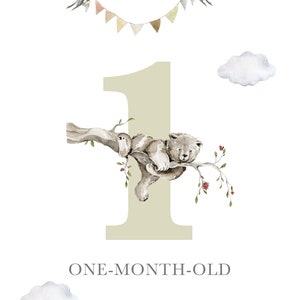 Baby Boy's Milestone Cards (woodland Bear Forest) - Etsy