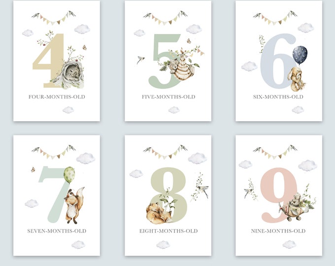 Baby Boy's Milestone Cards (woodland Bear Forest) - Etsy