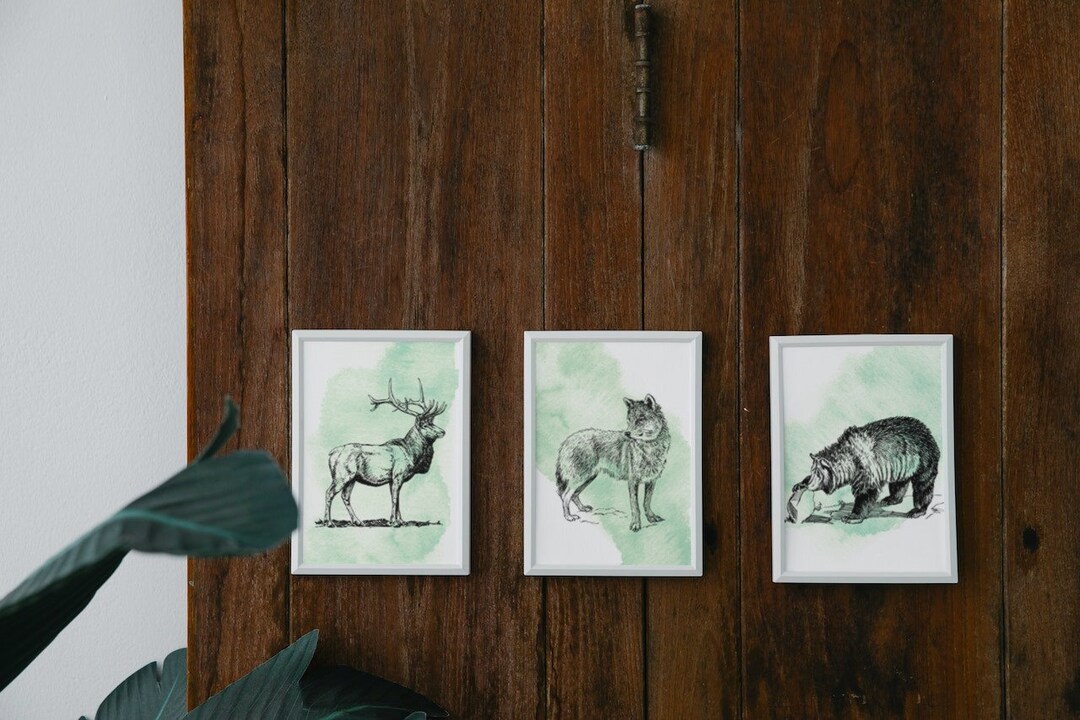 Forest Animal Themed Watercolor Wall Prints | DIGITAL DOWNLOAD - Etsy
