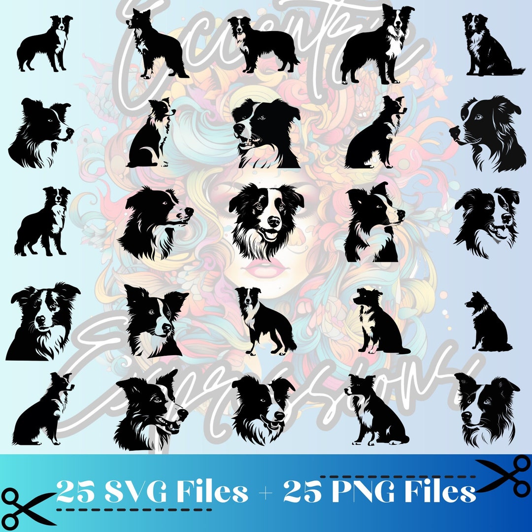 Border Collie SVG + PNG Pack 25 Unique Images- Perfect for Vinyl ...