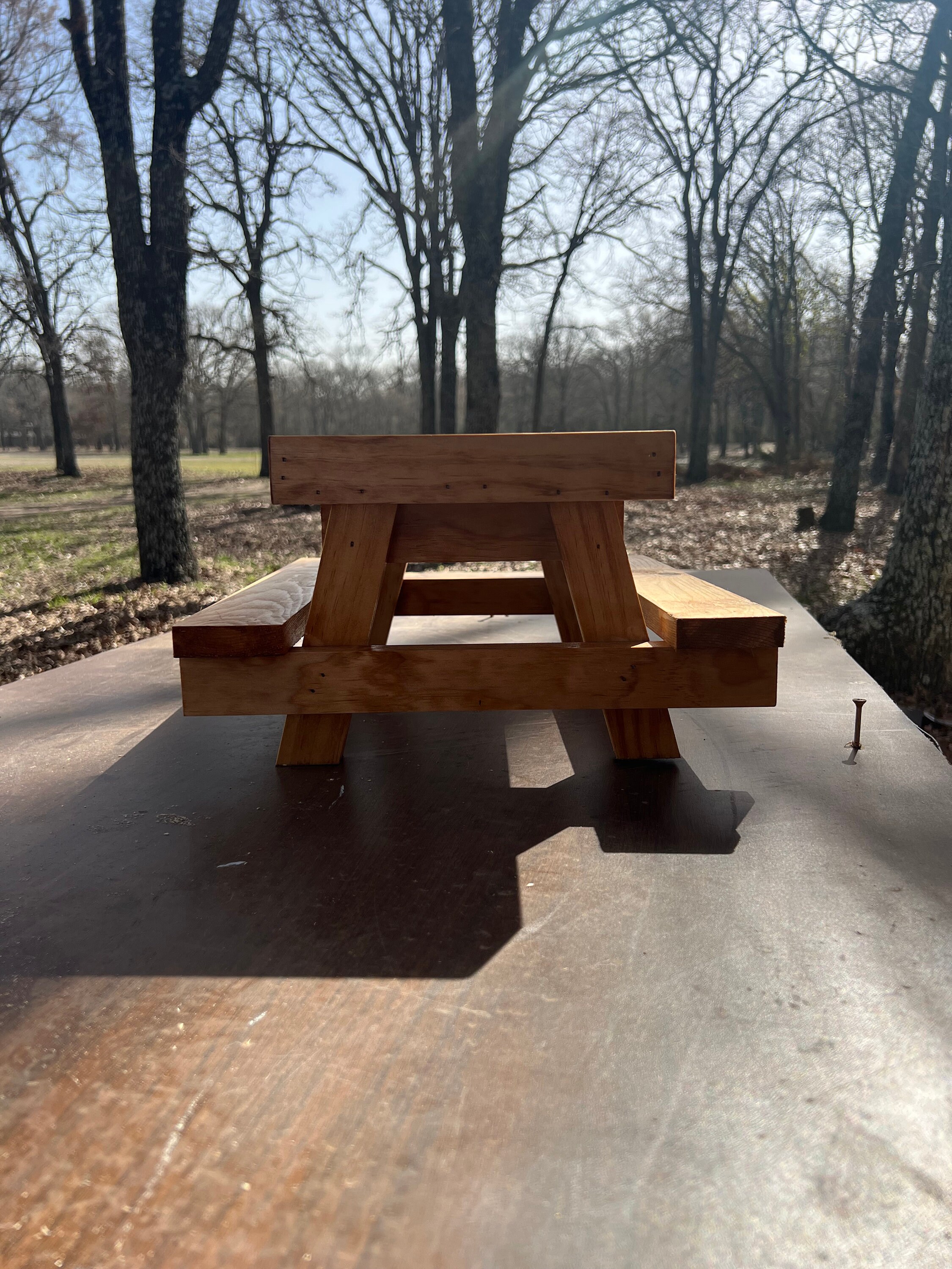 Chicknic Table, Chicken Feeder, Cute Animal Feeder - Etsy