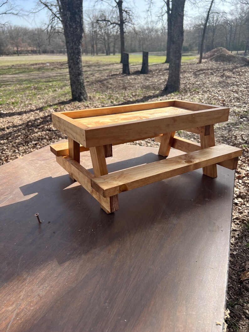 Chicknic Table, Chicken Feeder, Cute Animal Feeder - Etsy