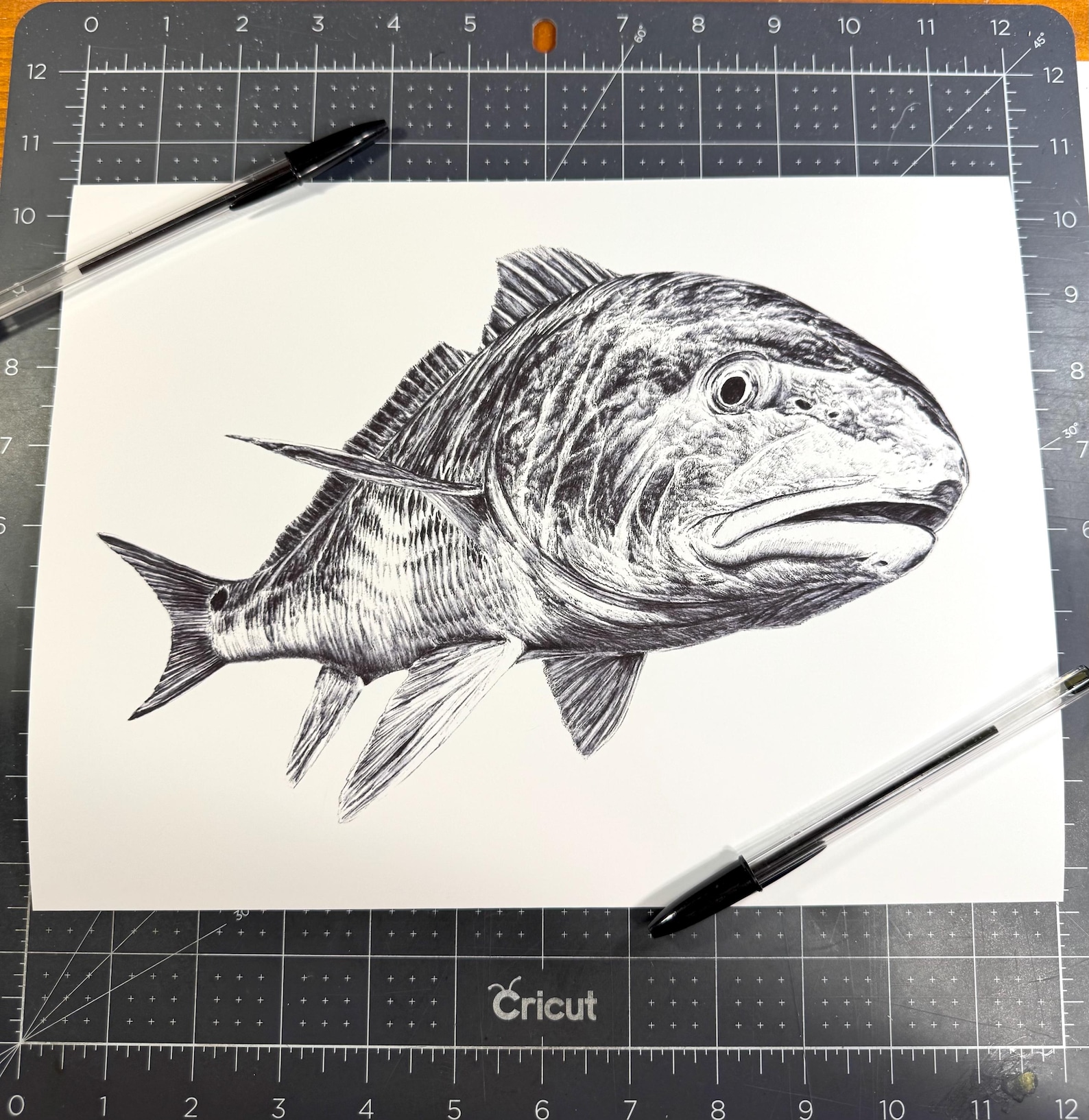 Bic Redfish Print 9” X 12” - Etsy