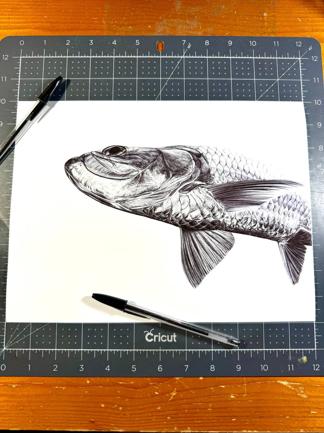 Bic Tarpon Print 9” X 12” | Fish Art - Etsy