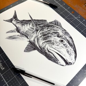 Bic Redfish Print 9” X 12” - Etsy