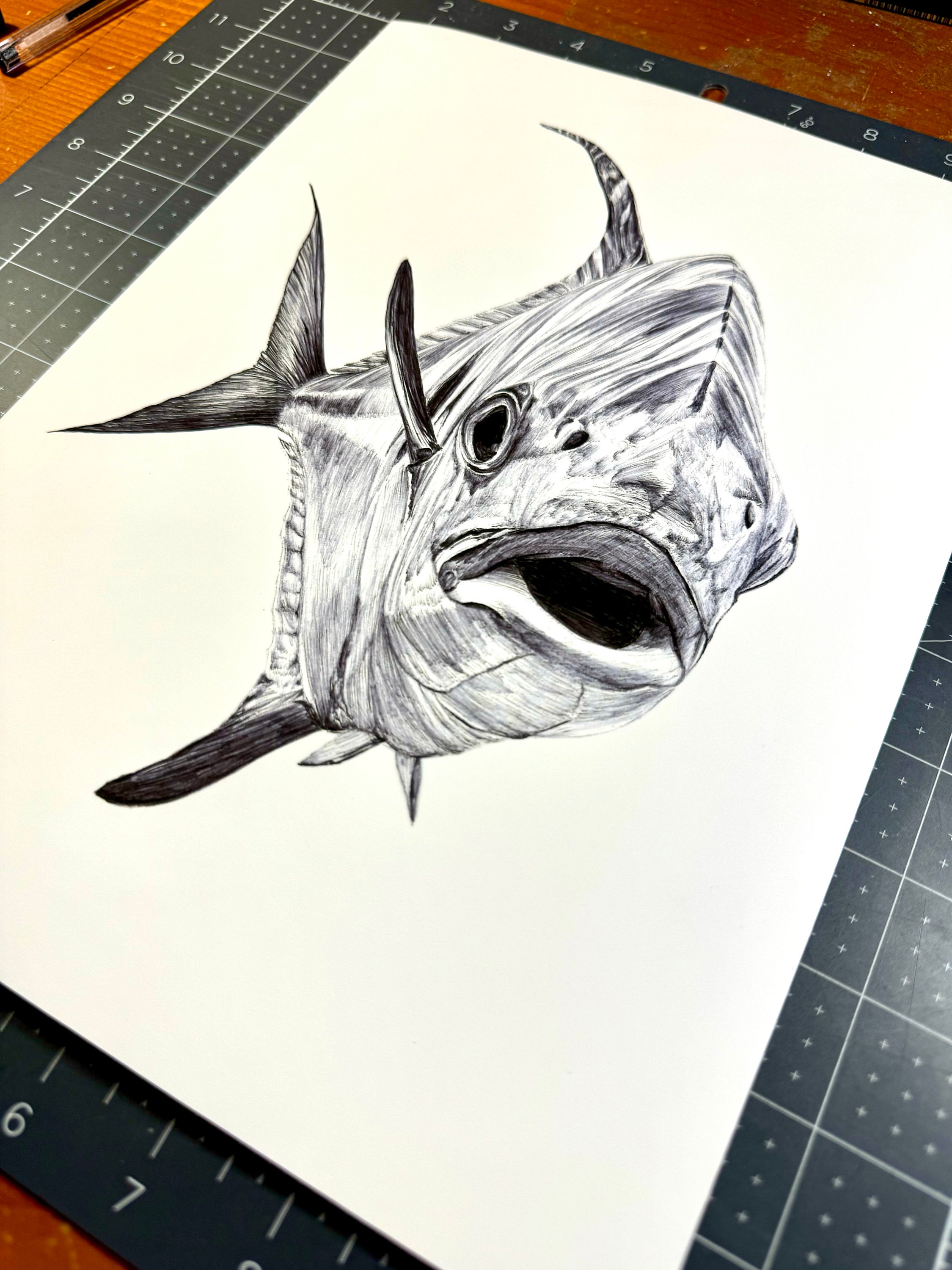 Bic Permit Print 9” X 12” | Fish Art - Etsy