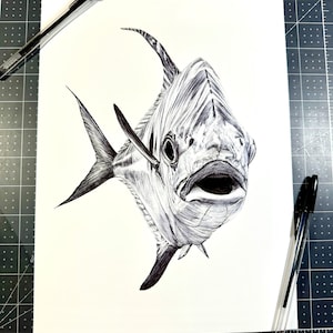 Bic Permit Print 9” X 12” | Fish Art - Etsy