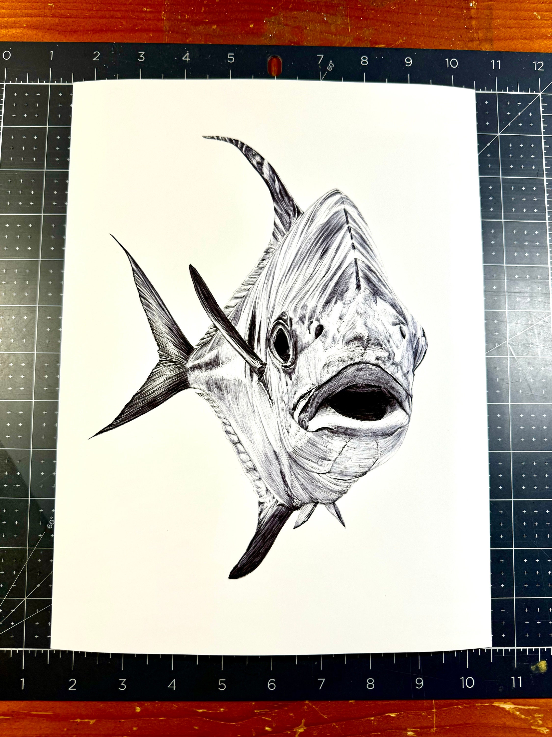 Bic Permit Print 9” X 12” | Fish Art - Etsy