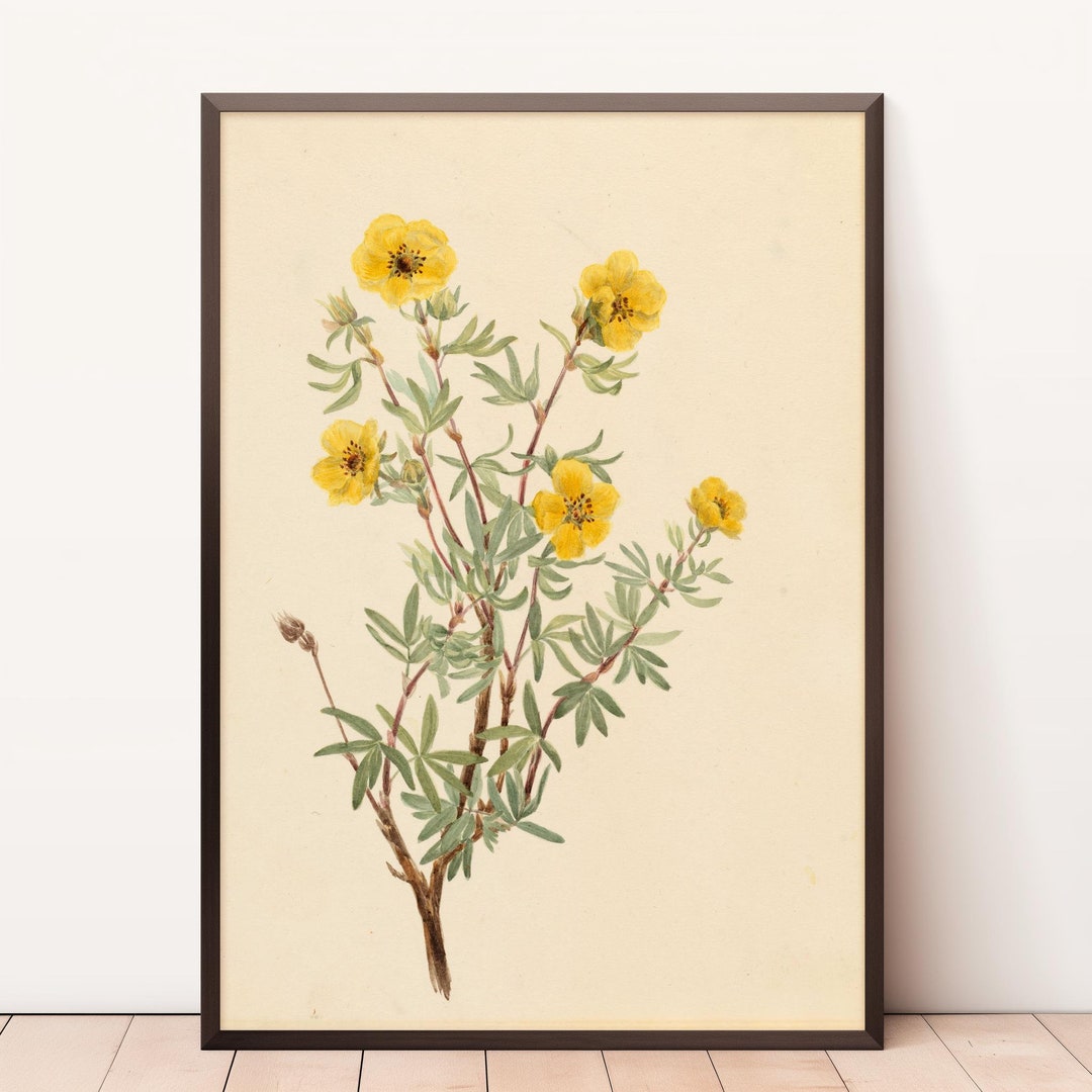 Yellow Antique Botanical Print | Botanical Wall Art Print Instant ...