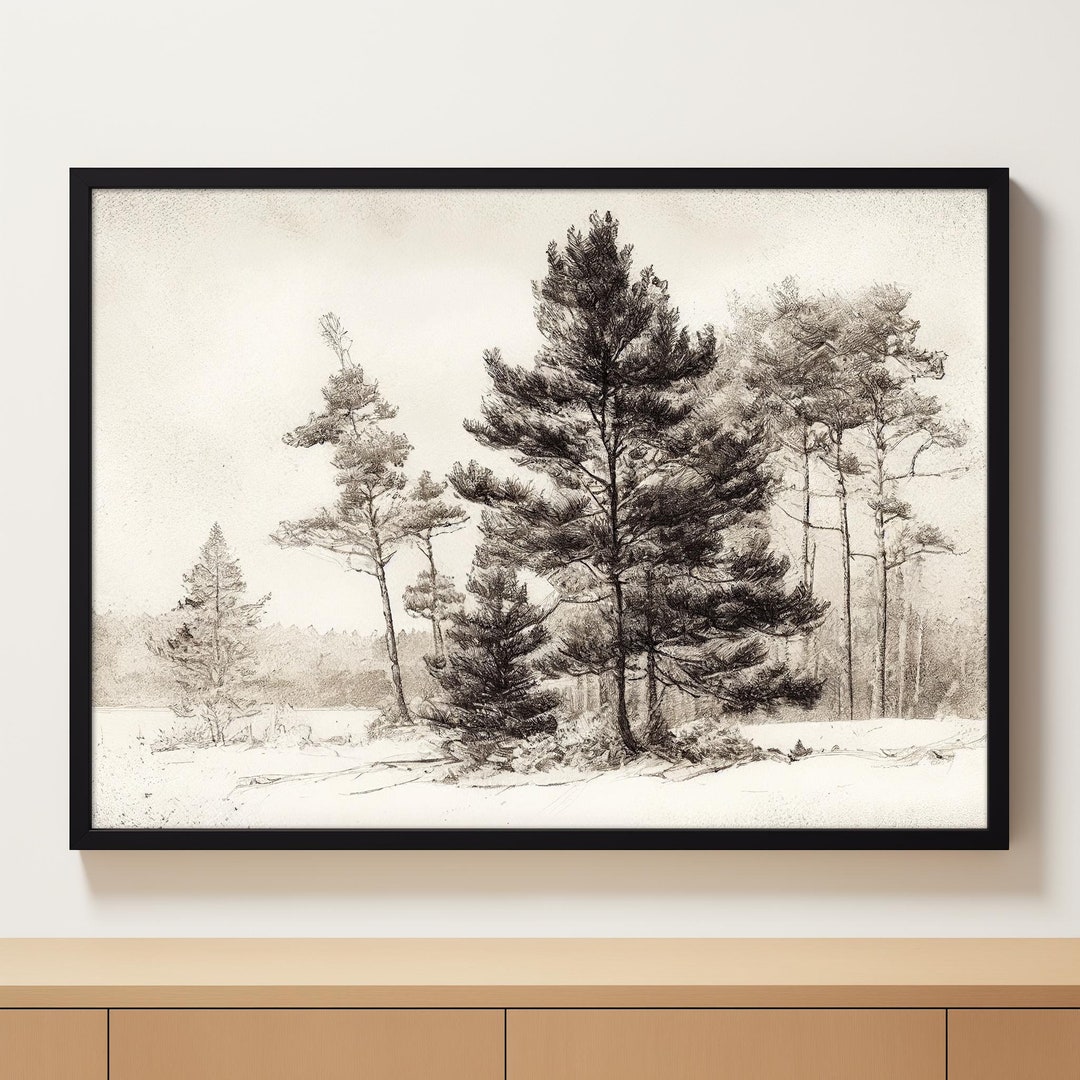 Vintage Pine Tree Art | Printable Wall Art | Botanical Art | Pine Tree ...
