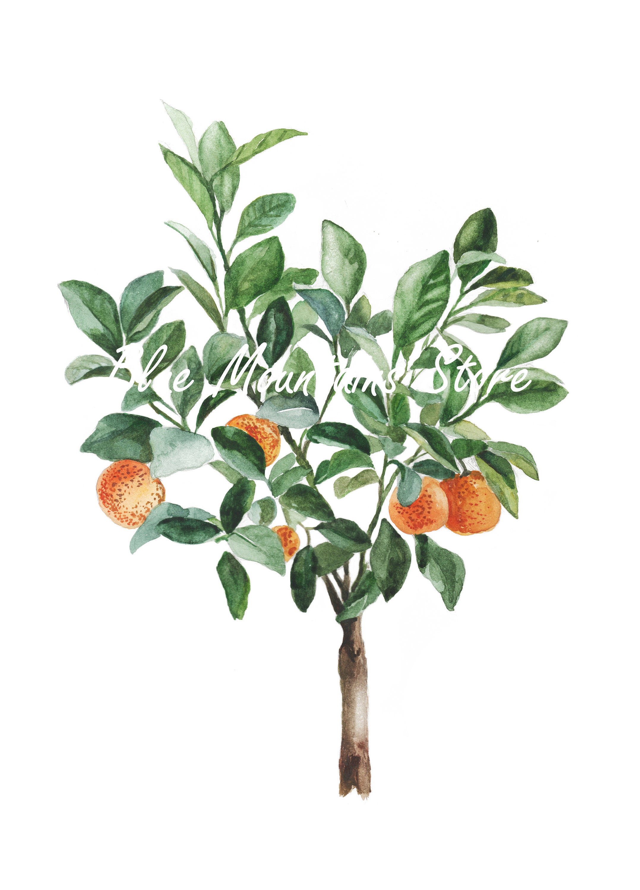 ORANGE TREE PRINT - Instant Download / Citrus Tree Watercolor Painting ...