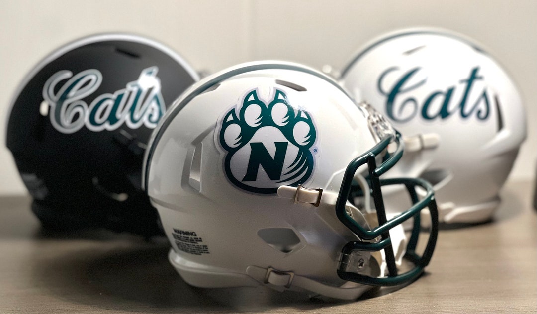 Custom Riddell Mini Helmets - Etsy