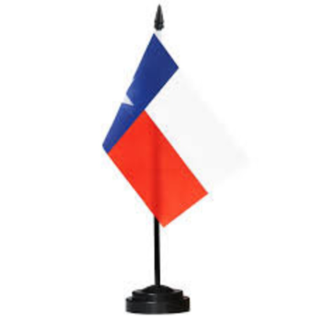Free Shipping. Texas Miniature Flag With Flag Stand. (all States Are ...