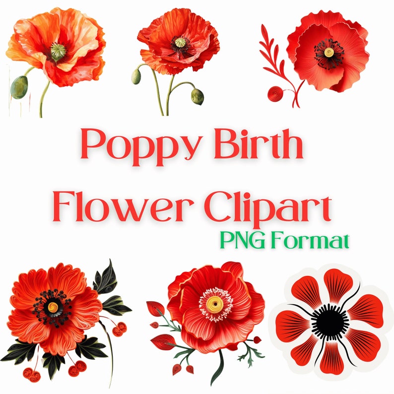Poppy Birth Month Flower Clipart Poppy Clipart Poppy Birth Flower Poppy ...