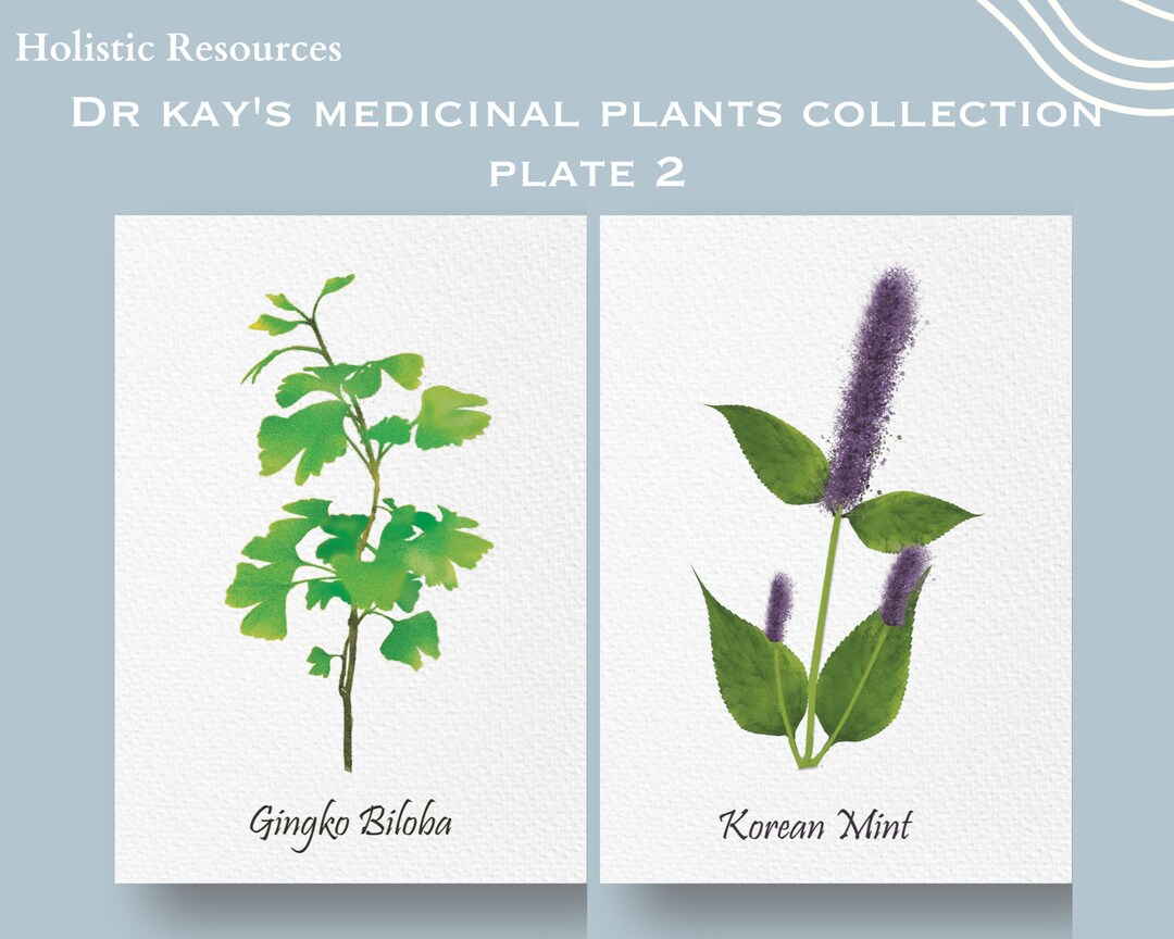 Dr. Kay's Medicinal Plants Collection Plate 2 | Wall Art | Medicinal ...