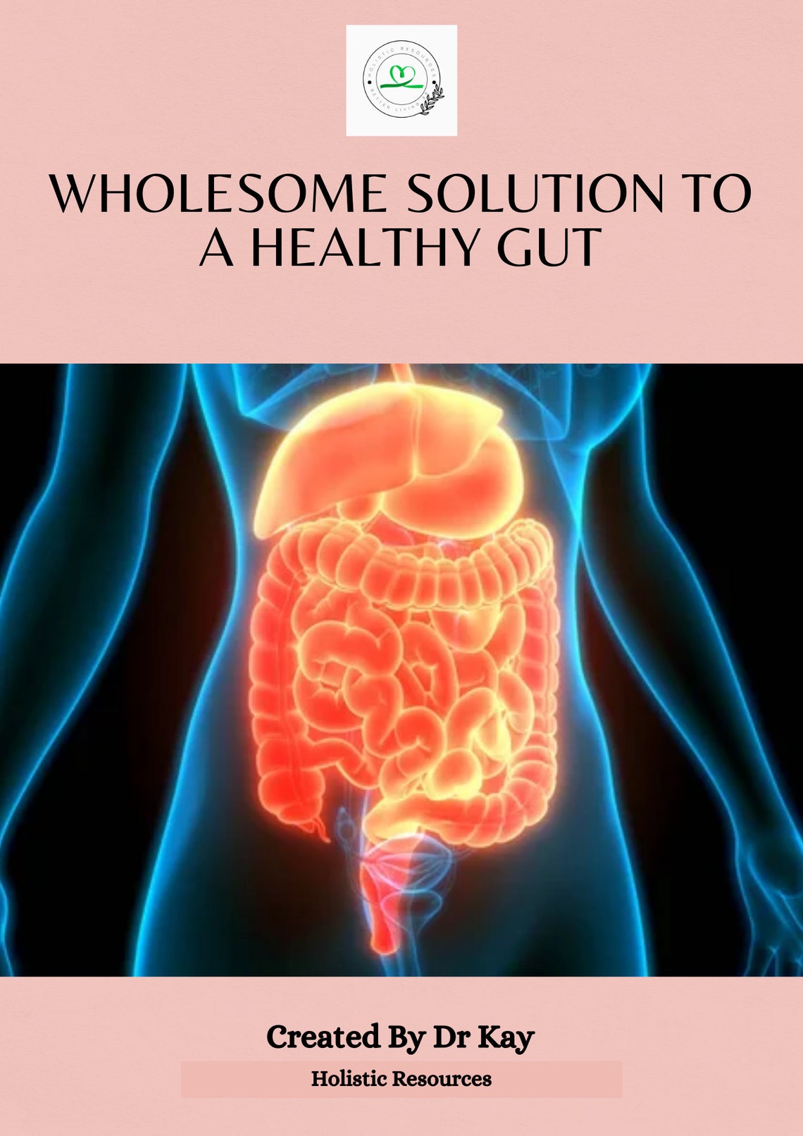 Wholesome Solution to a Healthy Gut | Gut Health | Digestive Heath ...