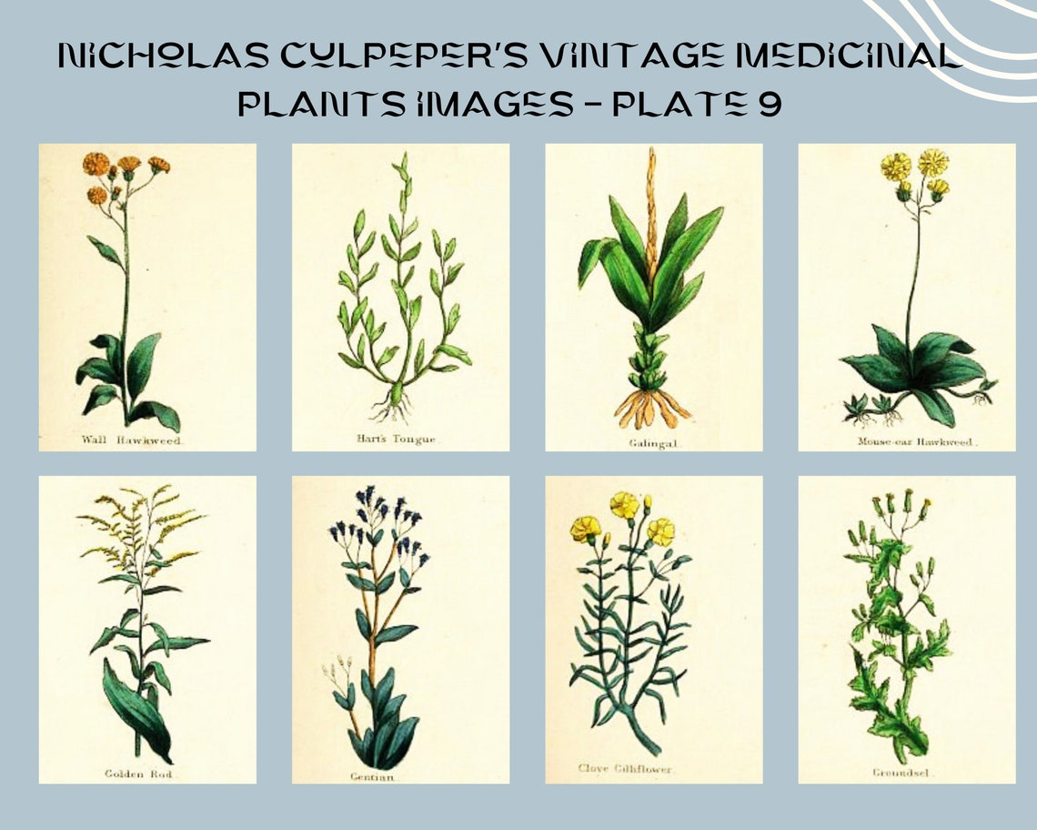 Nicholas Culpeper's Vintage Medicinal Plants Images - Plate 9 ...