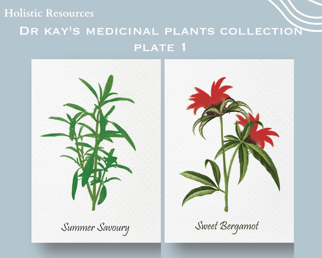 Dr. Kay's Medicinal Plants Collection Plate 1 | Wall Art | Medicinal ...