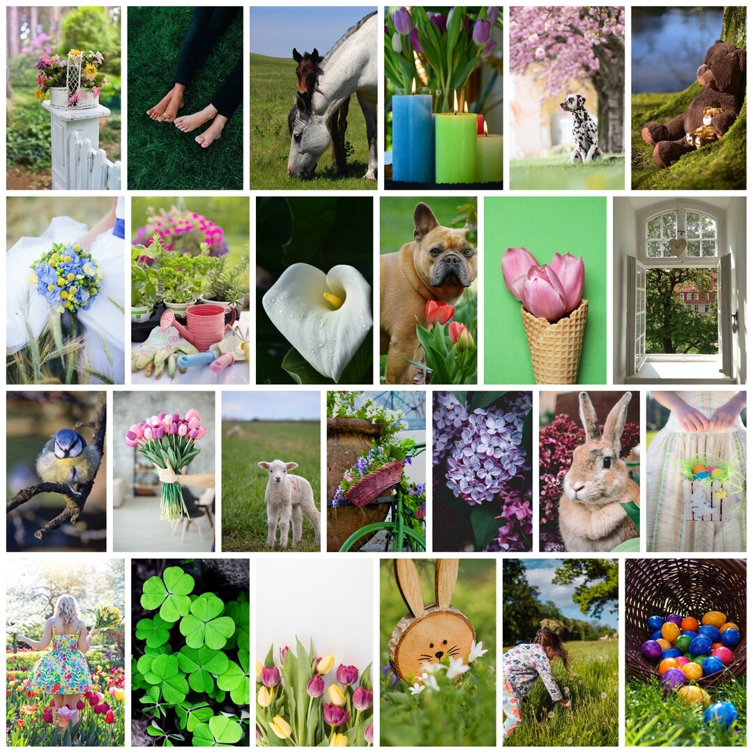 Spring Photo Collage Digital Download 75 Photos spring Into Action - Etsy