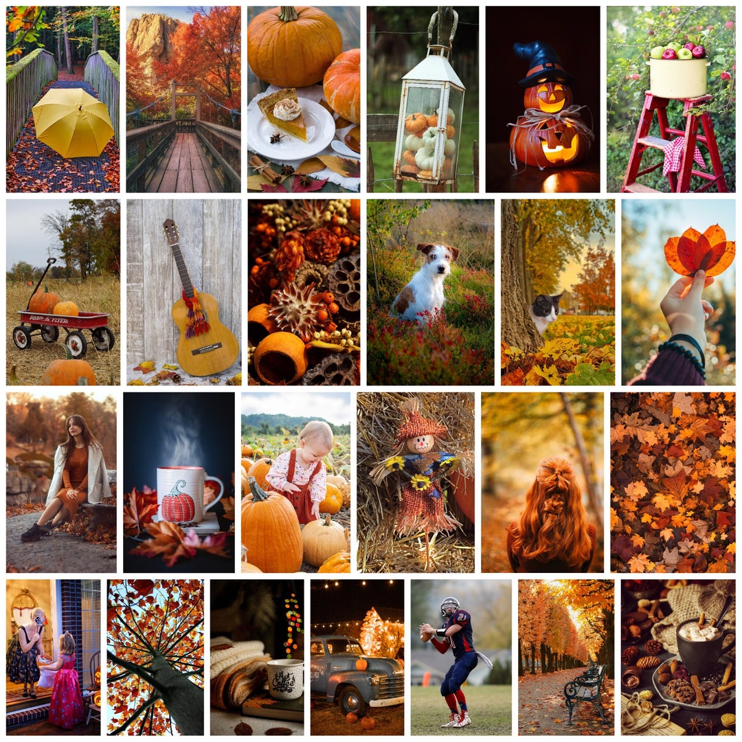 Autumn Photo Collage Digital Download 75 Photos it's Fall Ya'll - Etsy