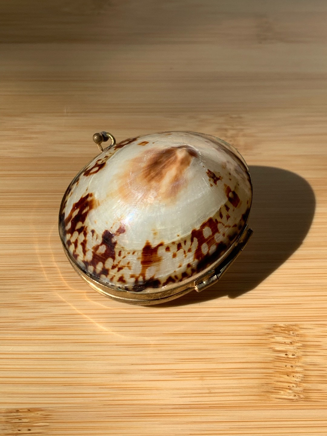 Victorian Sea Shell Coin Holder - Small Trinket Purse - Etsy