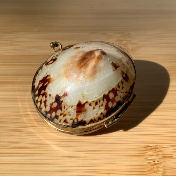 Shell Coin Purse - Etsy