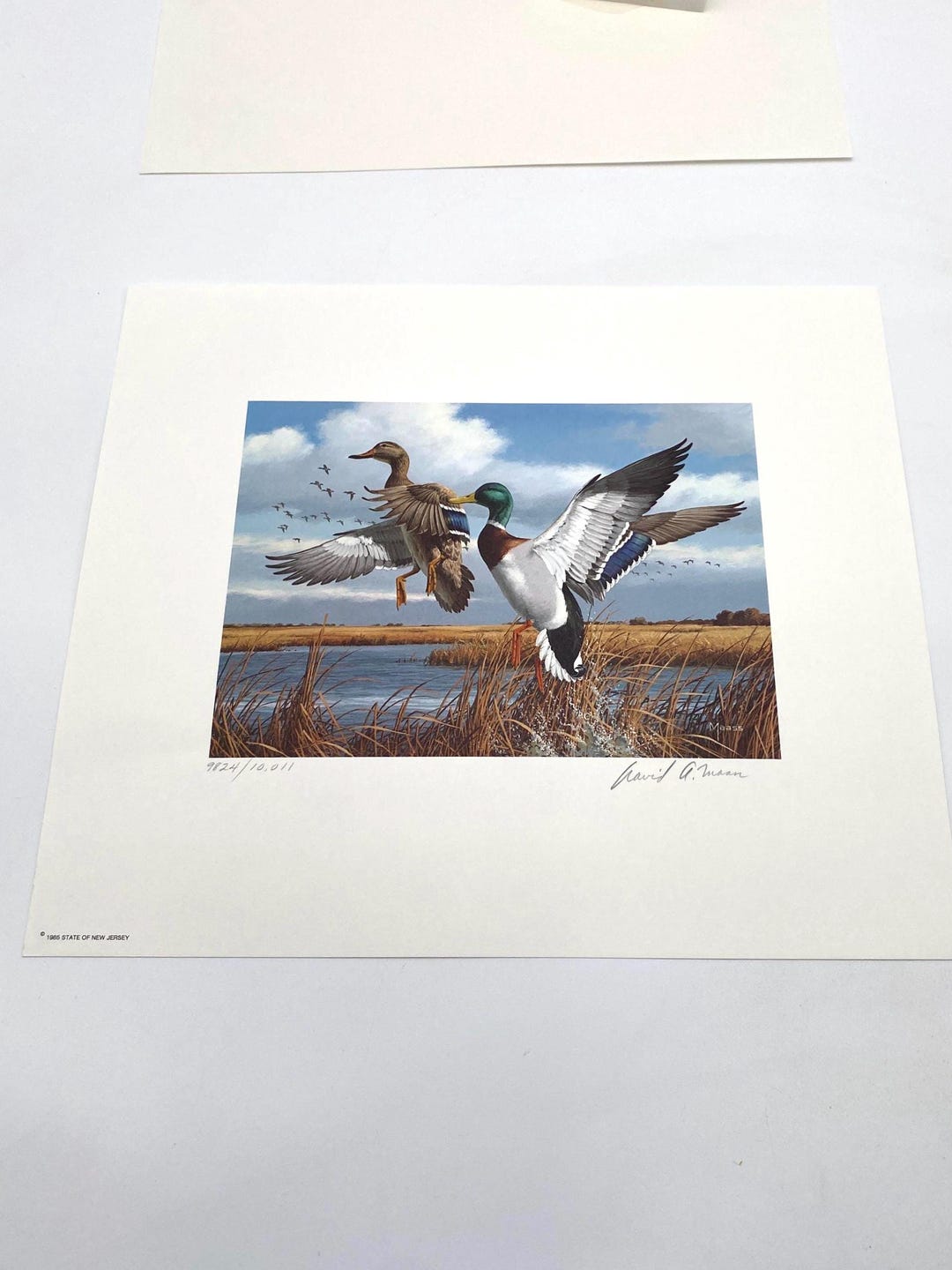 David Maass Mallards Print, Collectible Stamps – 1985 NJ Waterfowl Art ...
