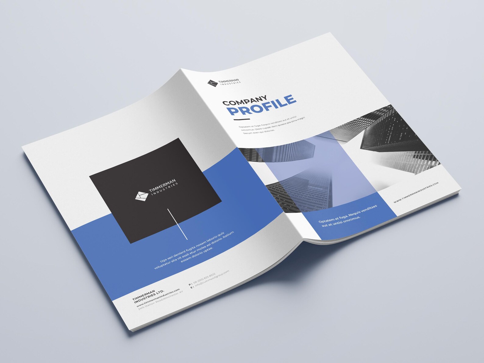 Company Profile Template, Corporate Handbook, Business Brochure Design ...