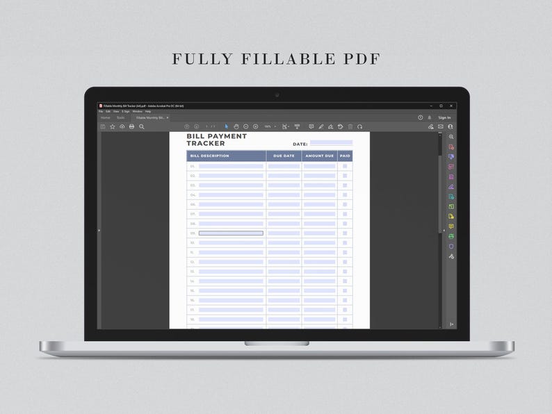 Monthly Bill Payment Tracker: Printable Finance Planner (fillable PDF ...