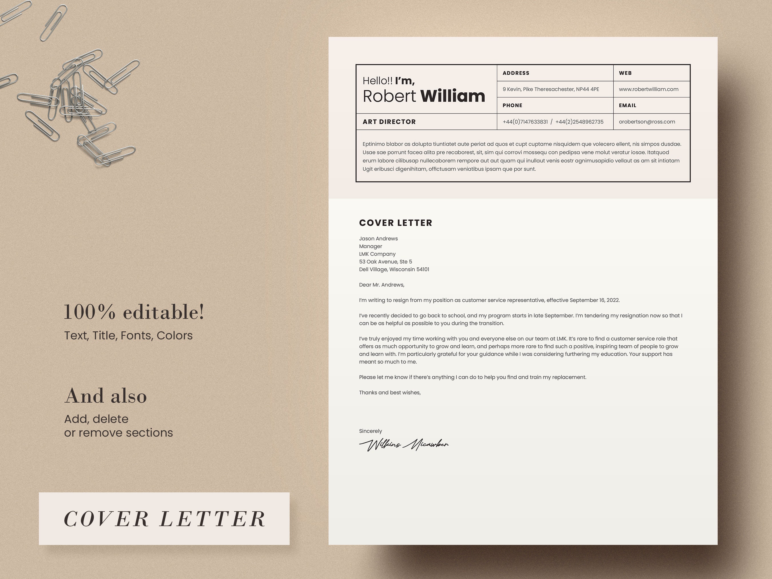 ATS Compatible Resume Template CV Template Resume Word - Etsy