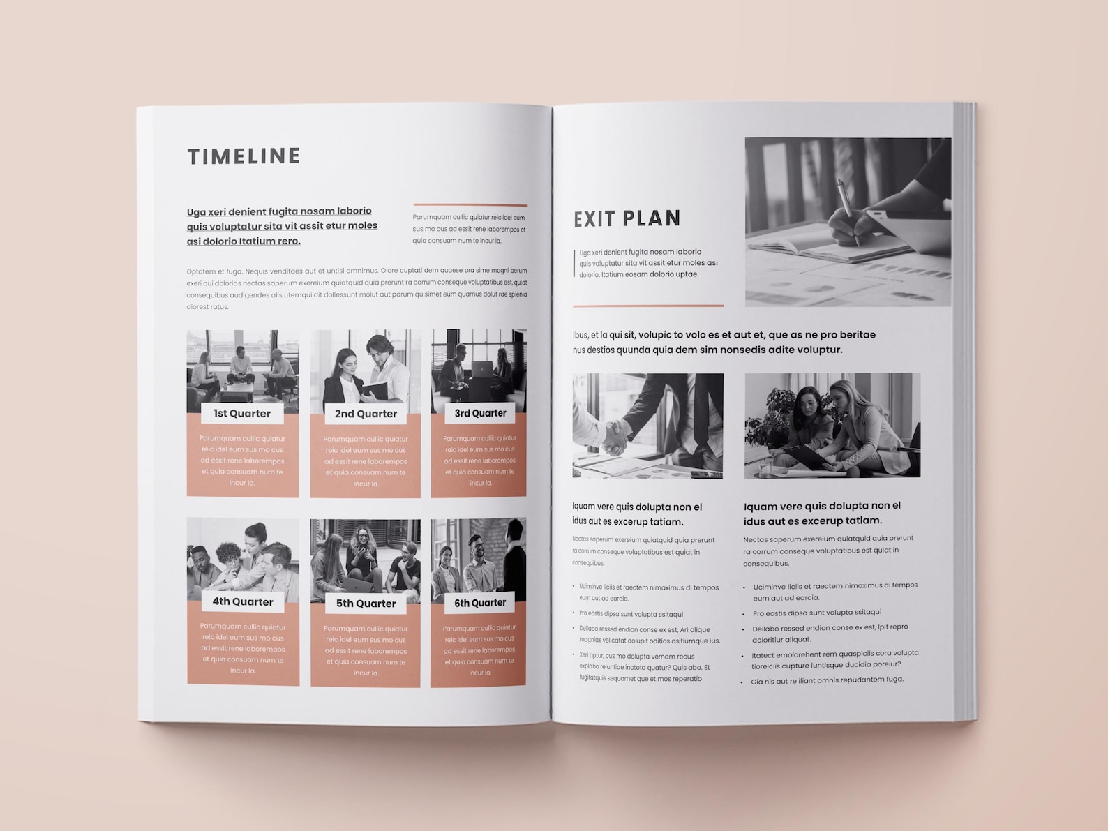 Business Plan Template | MS Word Template | Business Profile | Small ...
