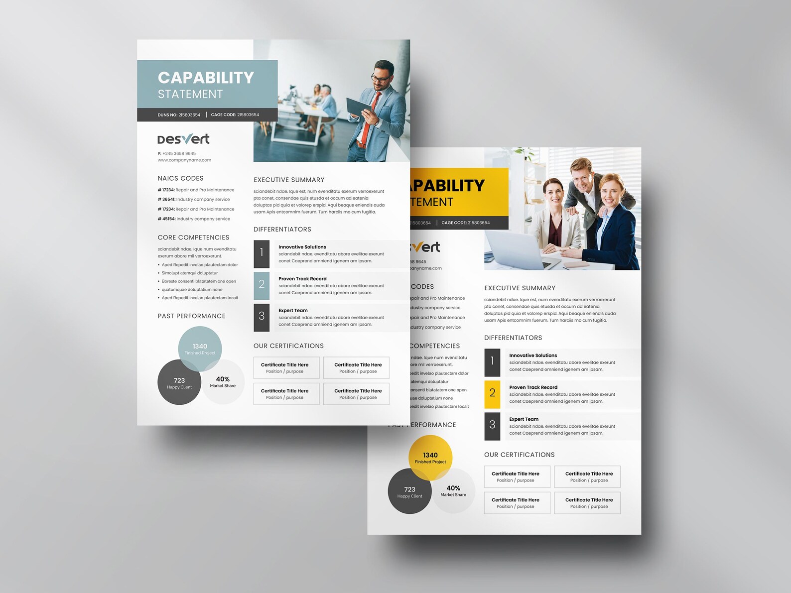 Corporate Capability Statement Template: A4, Canva, Word, Indesign - Etsy