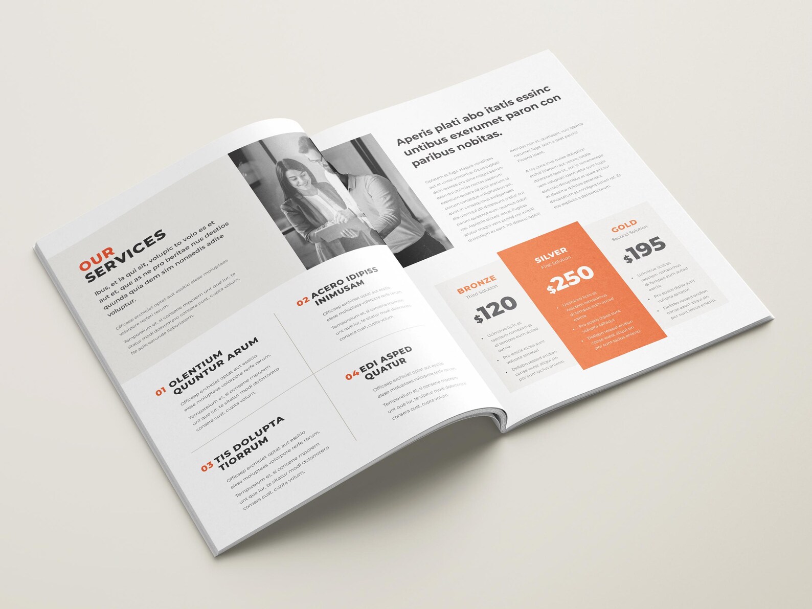 Company Profile Template, Business Brochure Design, Corporate Handbook ...