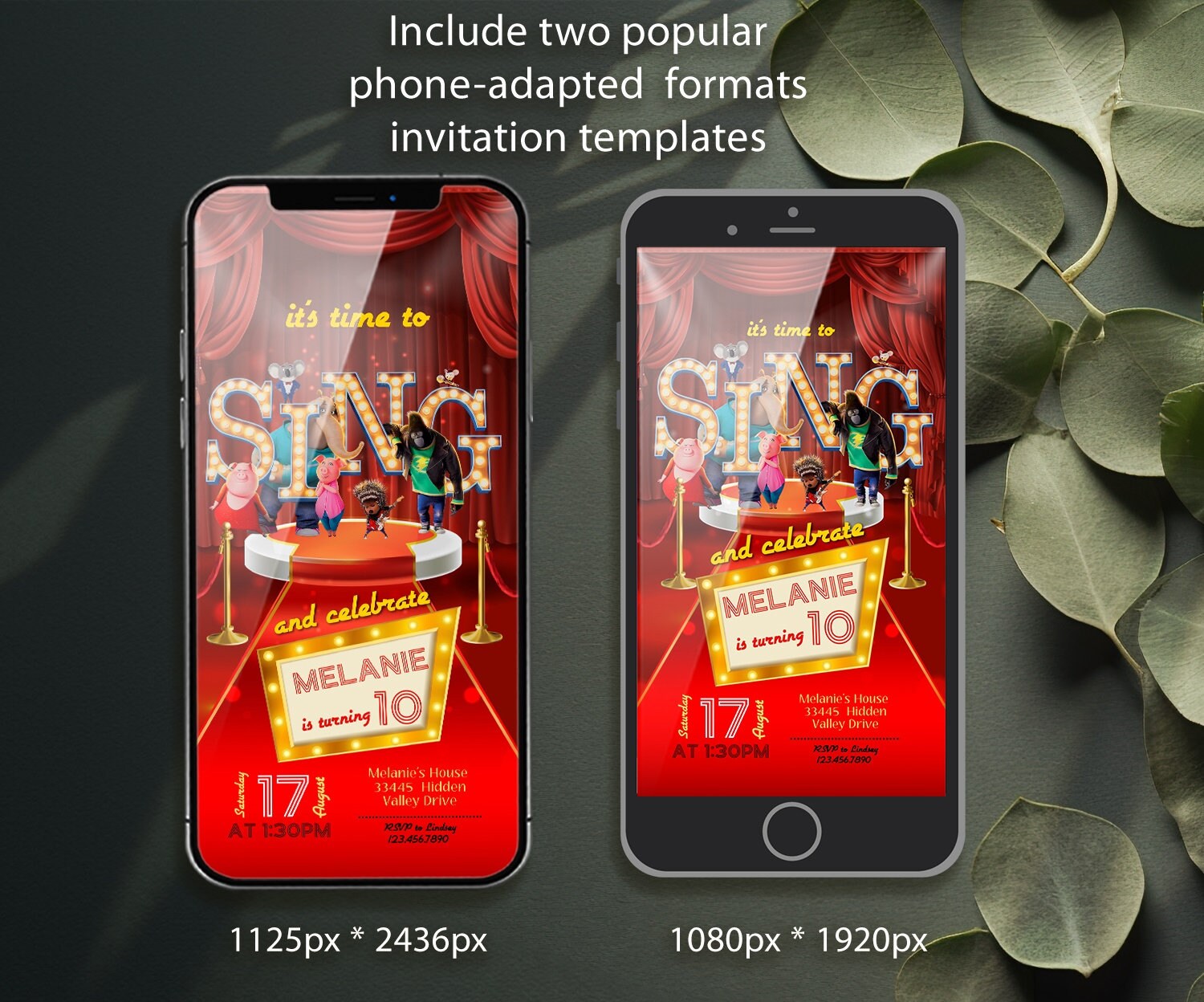 Instant Download, Music Birthday Party, Printable Sing 2 Birthday ...