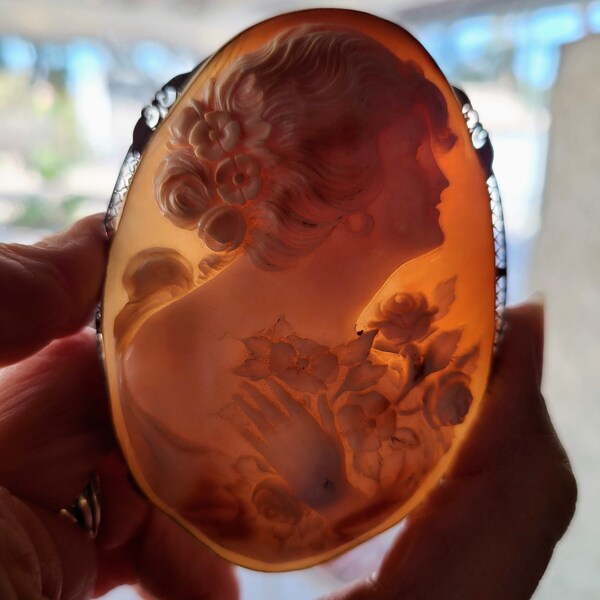 Shell Cameo - Etsy