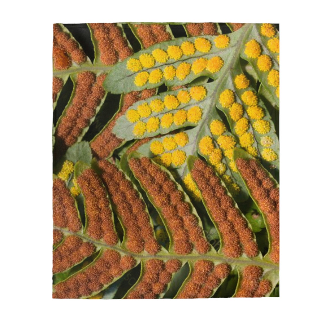 Velveteen Plush Back of Fern Blanket - Etsy