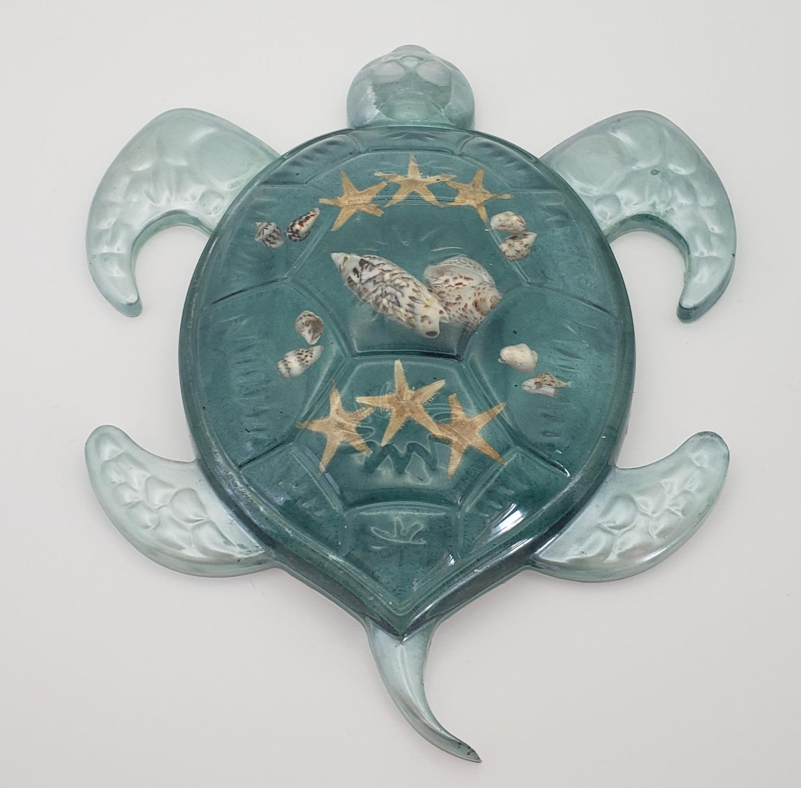 Beachy Sea Turtles Featuring Shells and Star Fish Embellishments. - Etsy