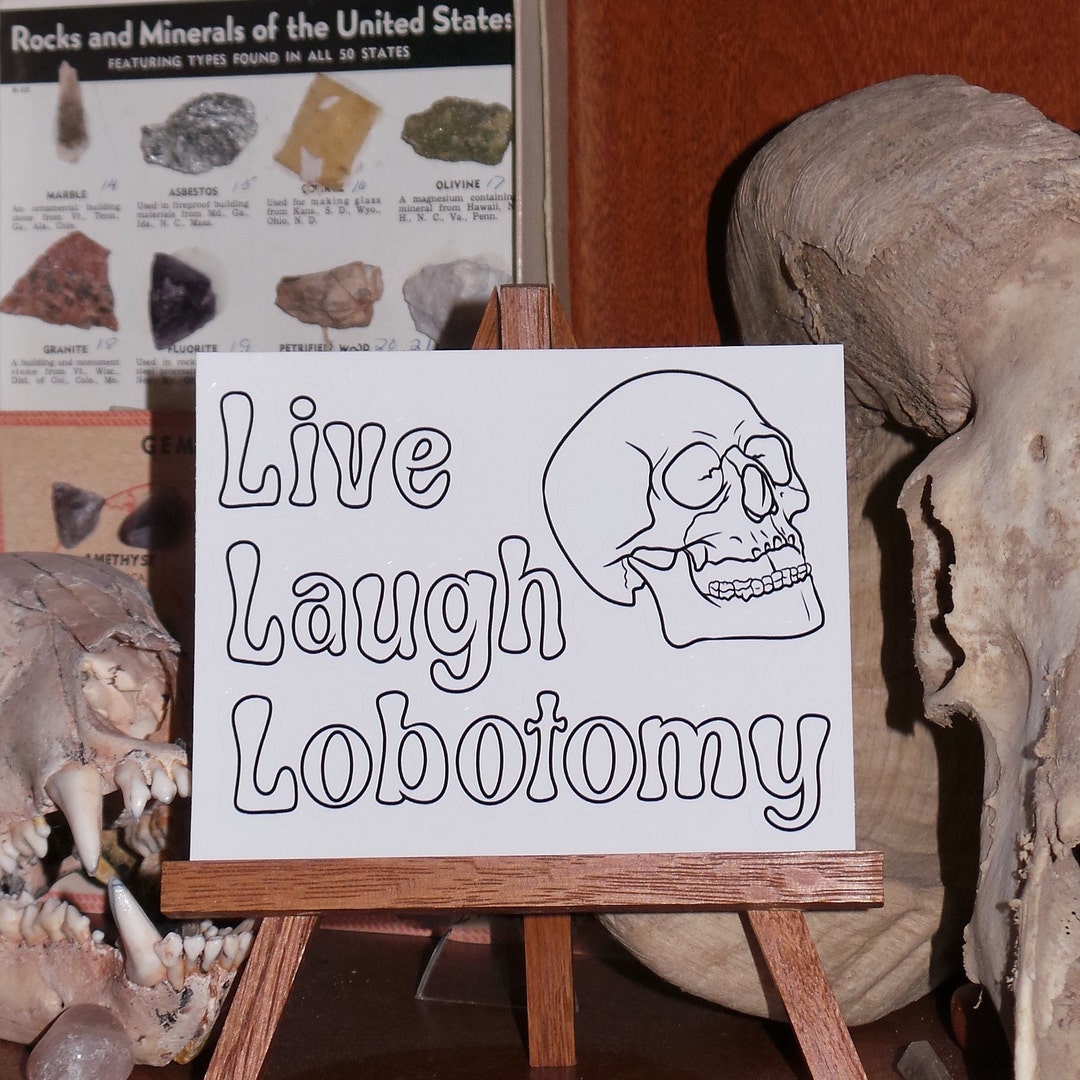 Live Laugh Lobotomy - Funny Sticker - Etsy