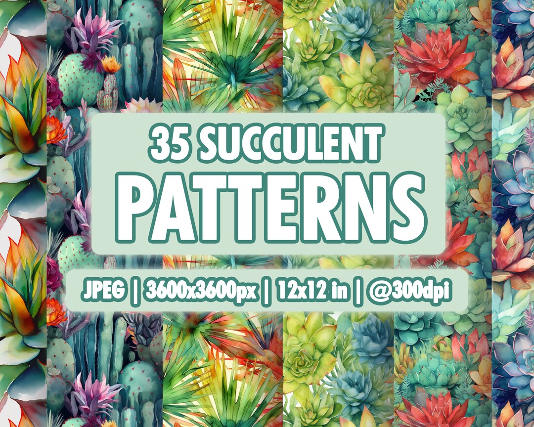 35 Succulent Patterns | Seamless Prints, Flowers, Digital Paper ...