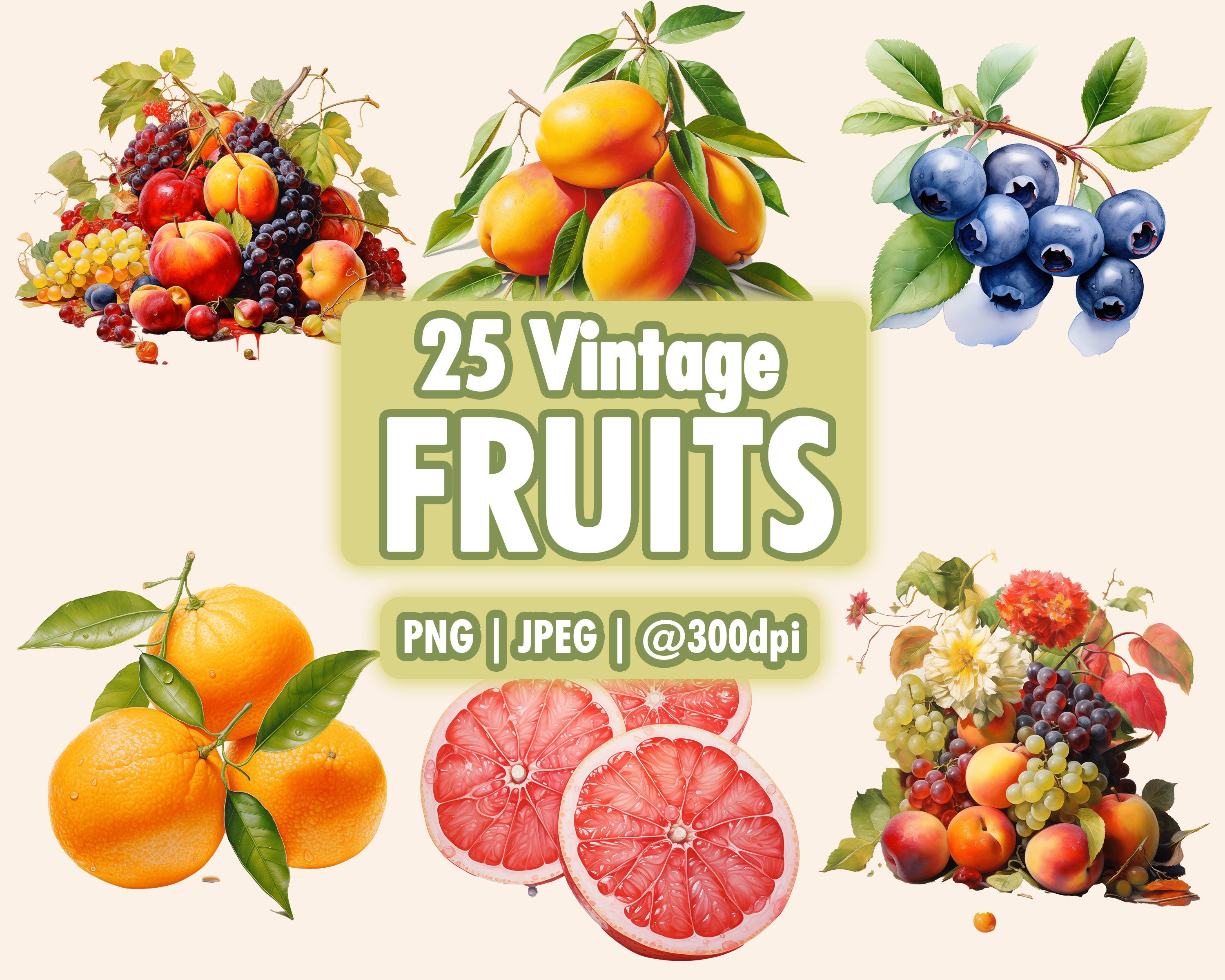 25 Vintage Fruits Clipart | Apple Fruit, Banana, Strawberries, Cherries ...
