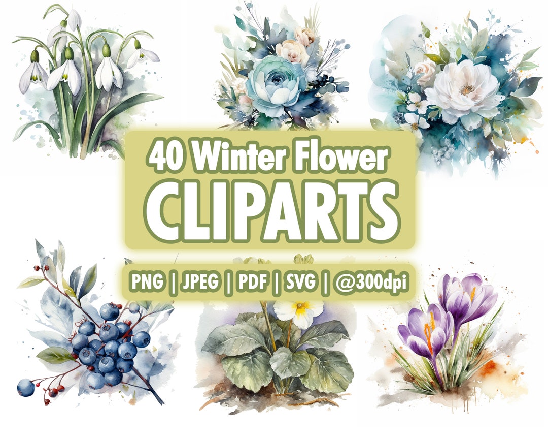 40 Winter Flowers Clipart | Plants, Digital Artwork, Floral Design ...