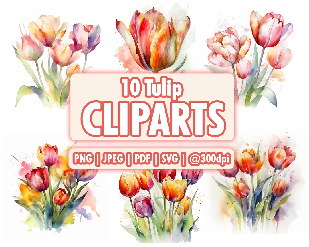 10 Tulips Clipart | Plants, Digital Artwork, Floral Design, Flowers ...
