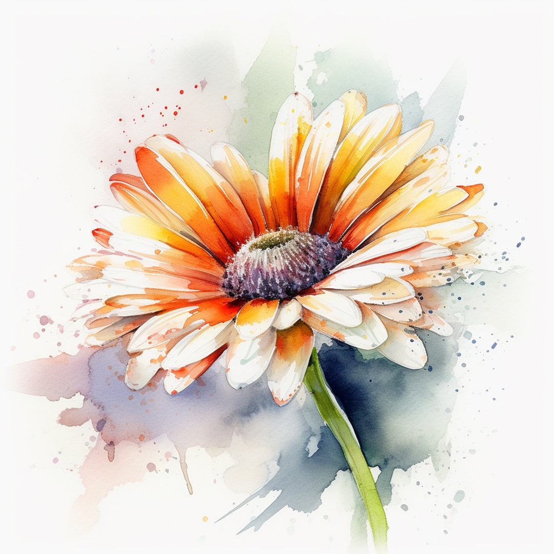 12 Daisies Clipart | Plants, Digital Artwork, Floral Design, Flowers ...