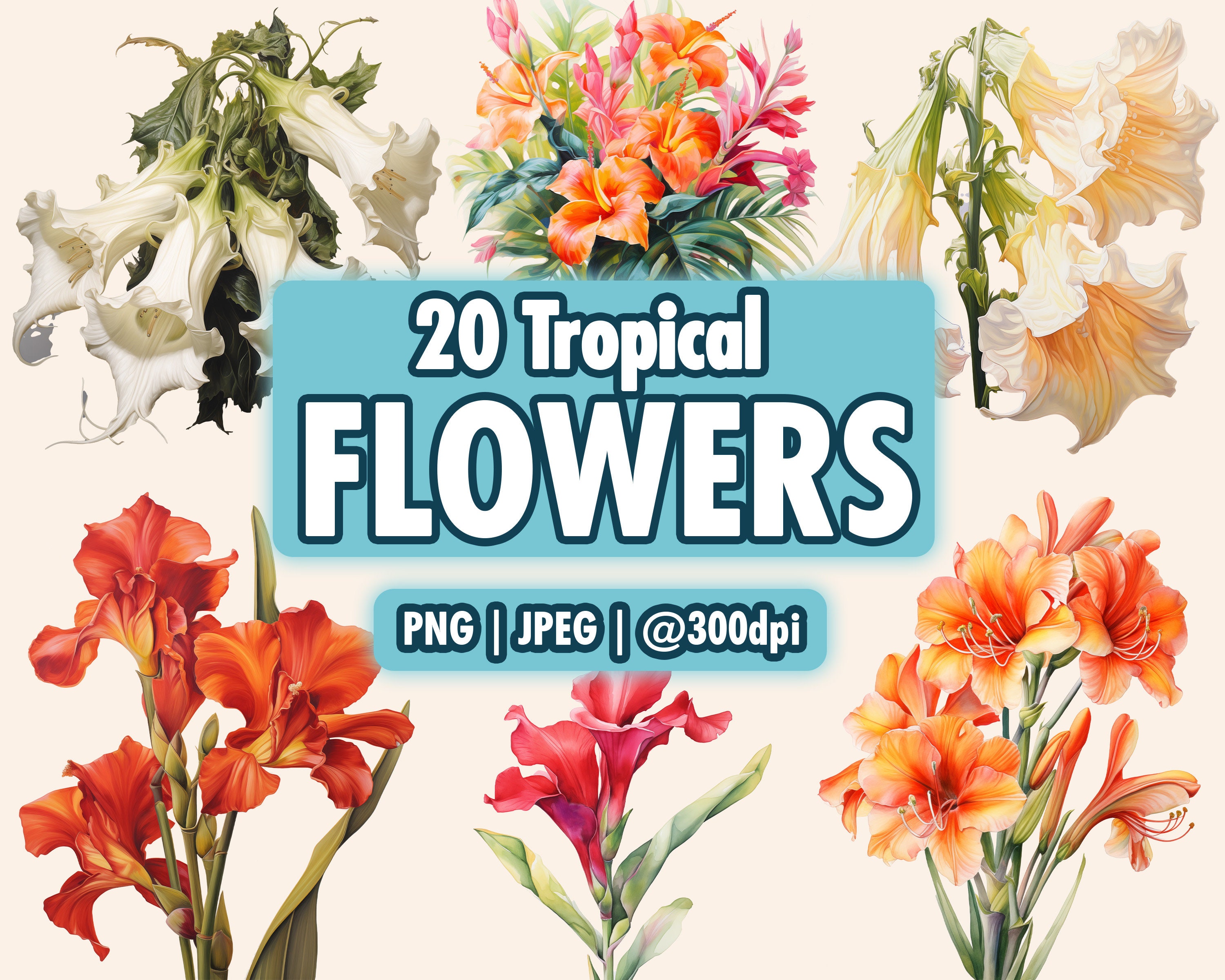 20 Tropical Flowers Clipart Plants, Digital Artwork, Floral Design ...