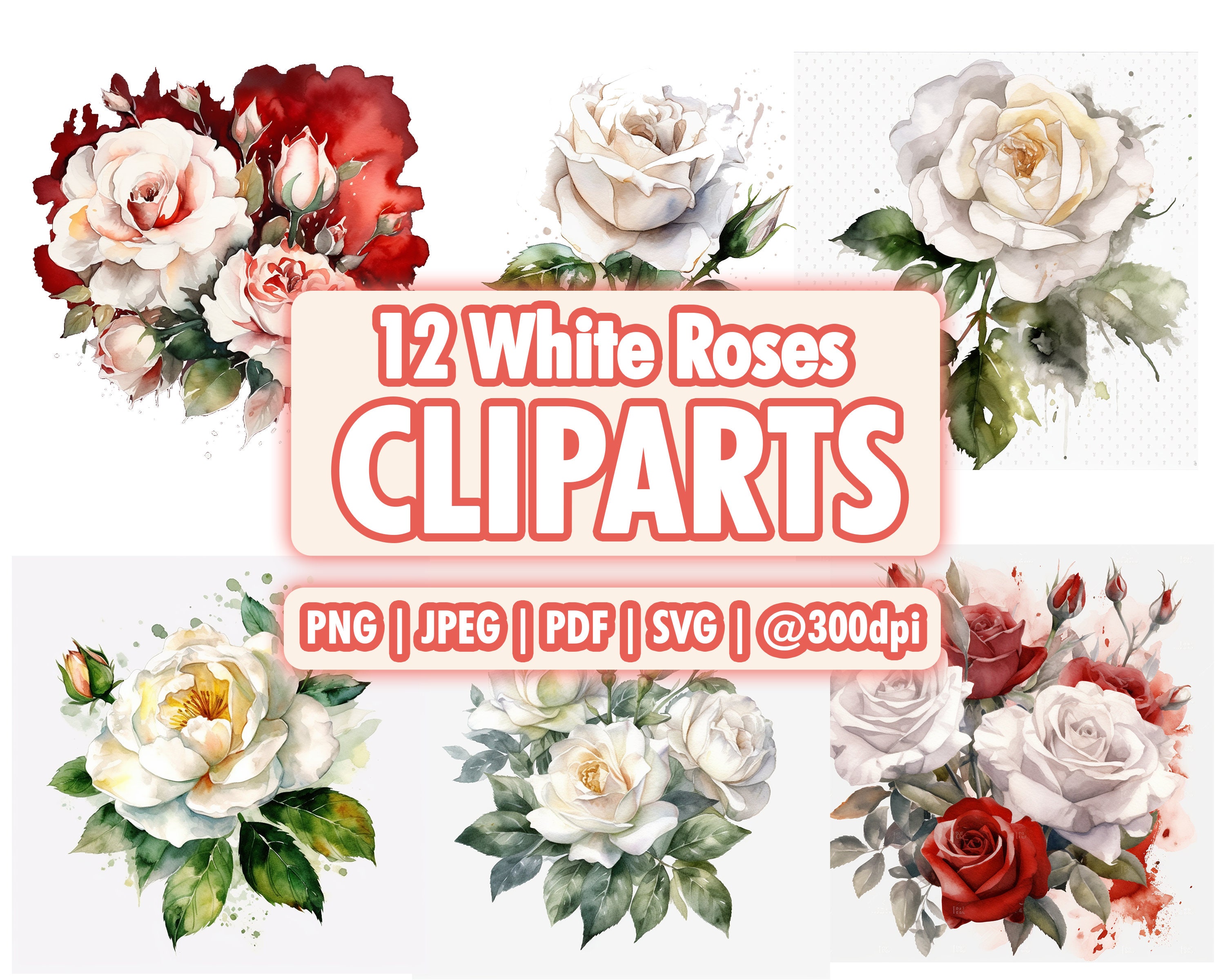 12 White Roses Clipart Plants, Digital Artwork, Floral Design, Flowers ...