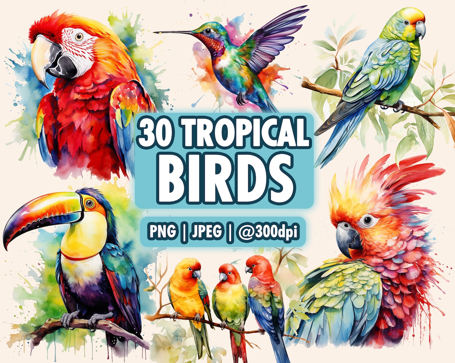 30 Tropical Birds Clipart Tropical Animals, Digital Art, Macaw, Trogon ...