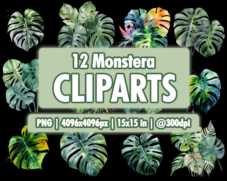12 Monstera Clipart | Plants, Digital Artwork, Floral Design, Flowers Background - Etsy