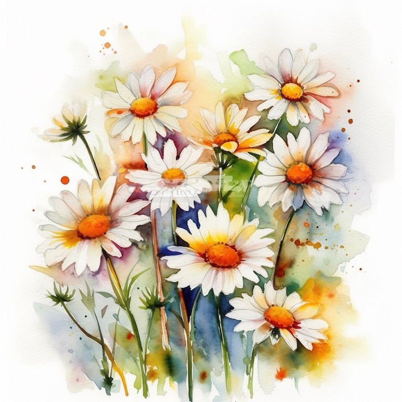 12 Daisies Clipart | Plants, Digital Artwork, Floral Design, Flowers ...