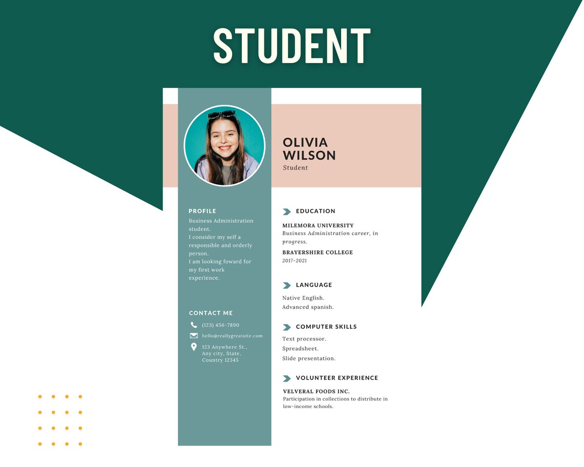 Student Cv, Minimalist Resume Template, Editable Professional Resume ...