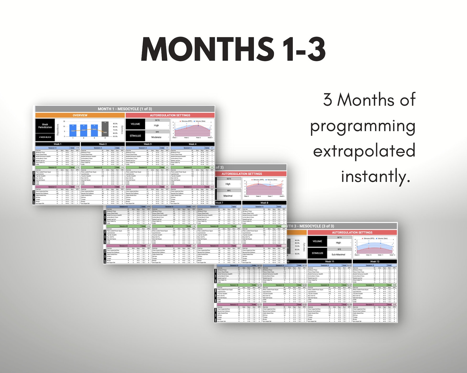 Workout Planner Template | Workout Program | Personal Trainer Exercise ...